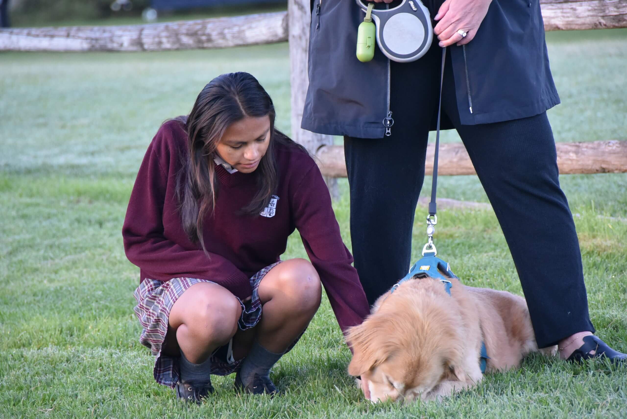 Feast of St. Francis of Assisi - Everest Collegiate High School & Academy