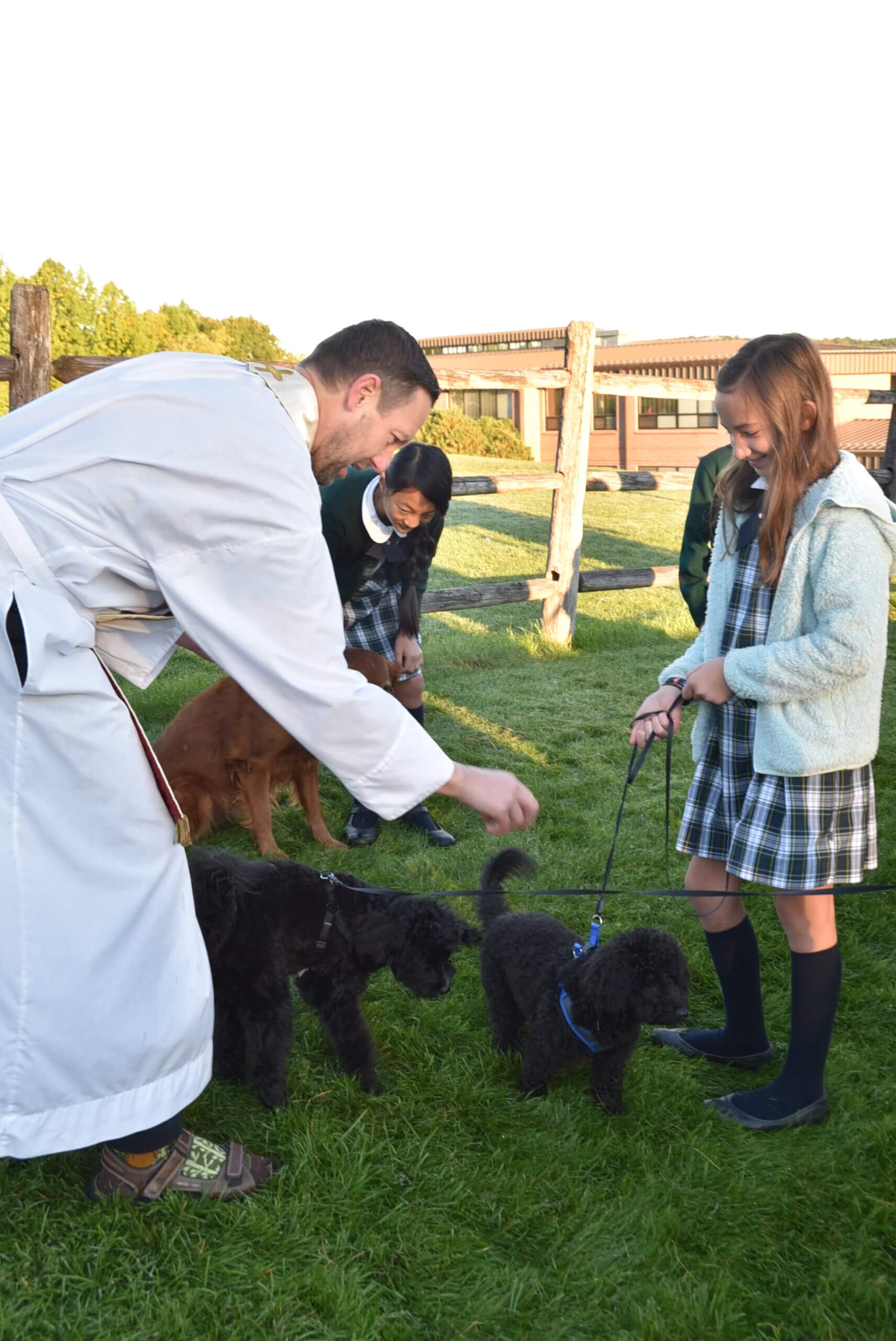 Feast of St. Francis of Assisi - Everest Collegiate High School & Academy